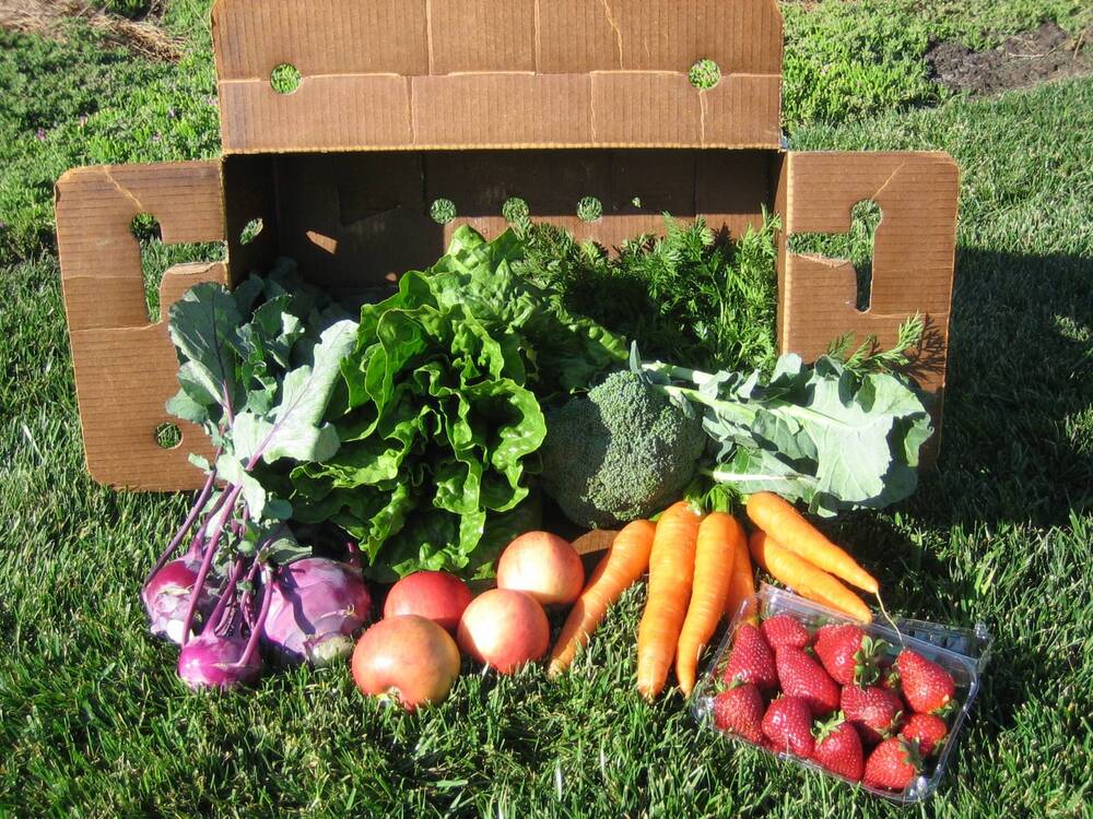 Low-Cost Food Available Through Community Supported Agriculture Programs